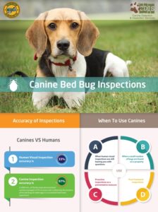 Canine Bed Bug Inspection Accuracy Study Results | CDIS
